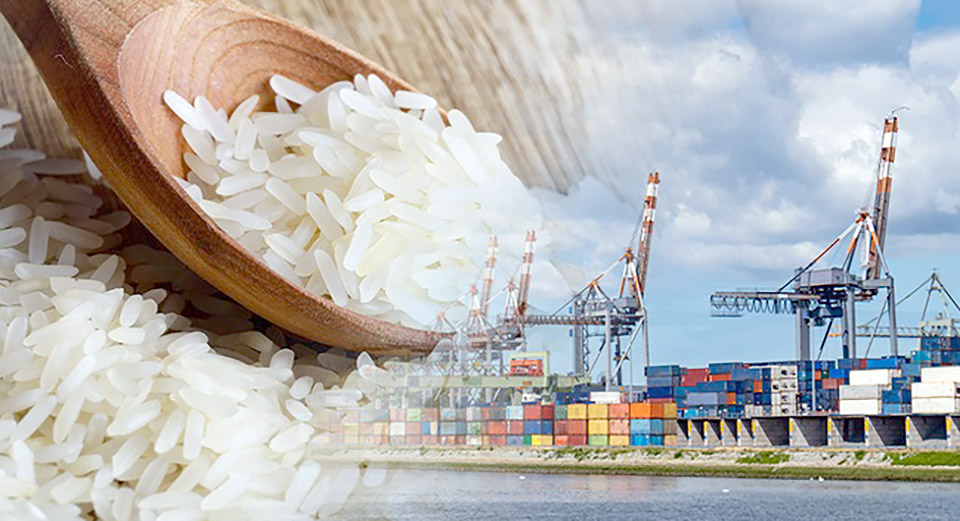 Rice Importation And Distribution In Liberia - Star global Liberia